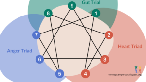 Enneagram Triads – Gut, Heart & Head Explained